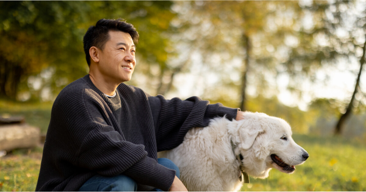 Support & Counselling for Everyone - Lifeline